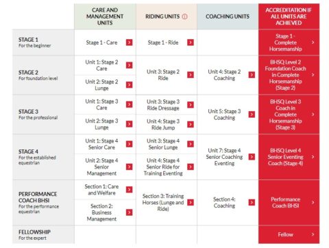 BHS Stage 2 Horse Care: Everything You Need To Know!
