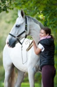 BHS Stage 2 Horse Care: Everything You Need To Know!