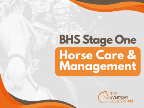 BHS Stage 1 Horse Care Programme | The Everyday Equestrian