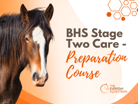 BHS Stage 2 Horse Care Programme | The Everyday Equestrian