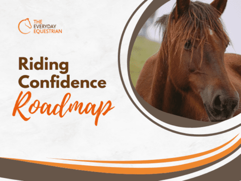 Crack the Confidence Code Membership from The Everyday Equestrian