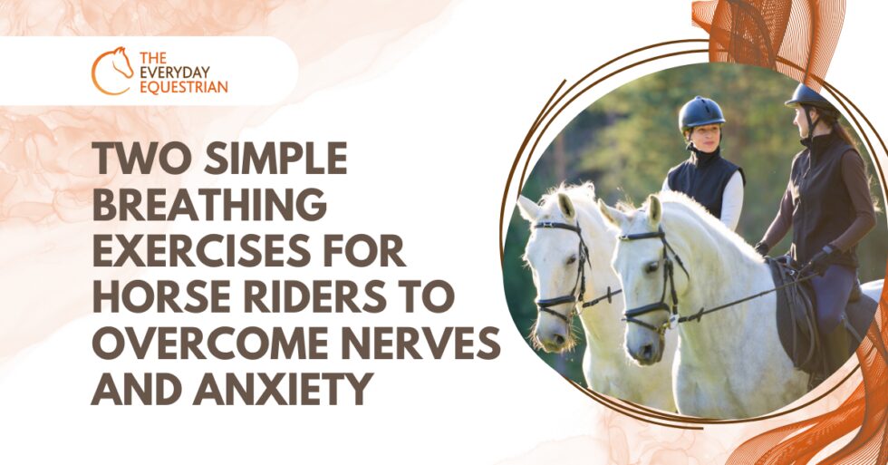 BHS Exams: Ultimate Guide to British Horse Society Qualifications