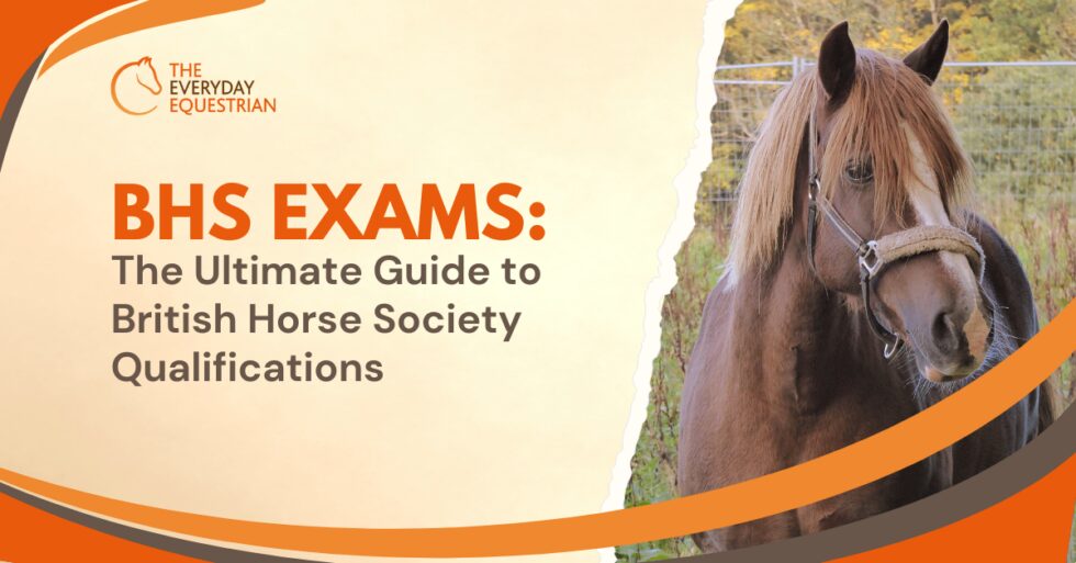 BHS Exams: Ultimate Guide to British Horse Society Qualifications