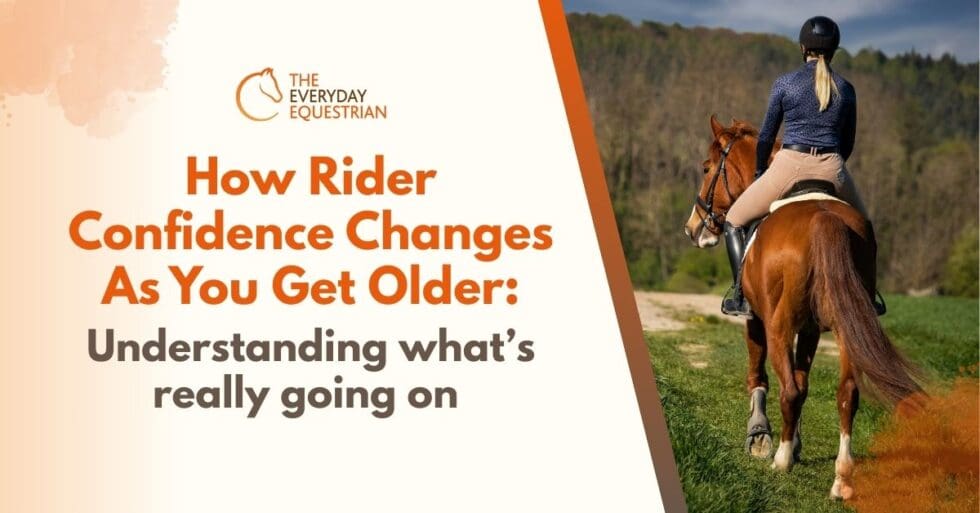 BHS Stage 2 Horse Care: Everything You Need To Know!
